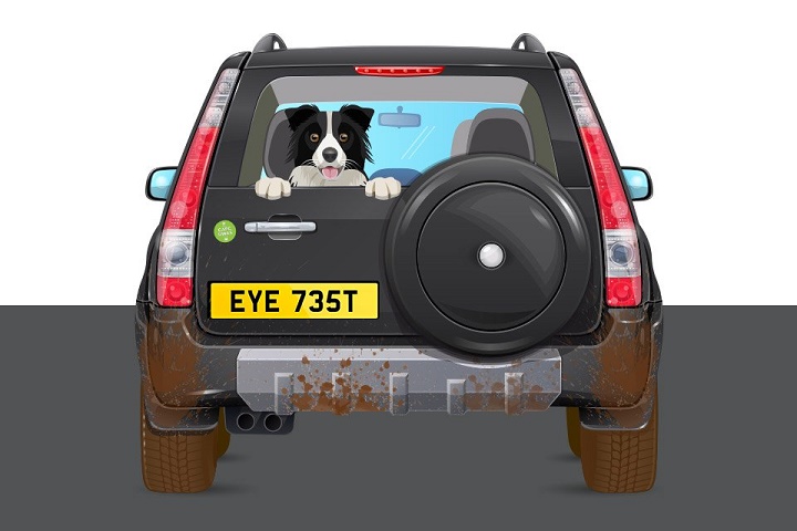 DVLA Launches New Drivers Eyesight Campaign